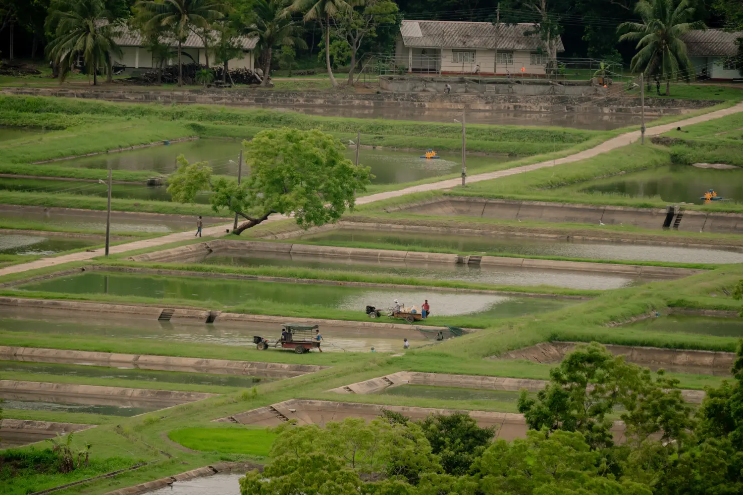 Monsoon Season in Sri Lanka | Weather & Travel Tips